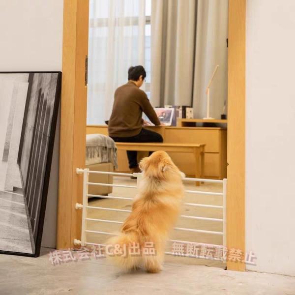 素材:スチール（エポキシ粉体塗装）ABS樹脂・スチール◆置くだけ簡単設置のシンプルフェンスわんちゃんにセーフティスペースを置くだけで簡単に設置できるので活動範囲にあわせて設置できます。入ると危険な場所?入られると困る場所からペットをしっかり...