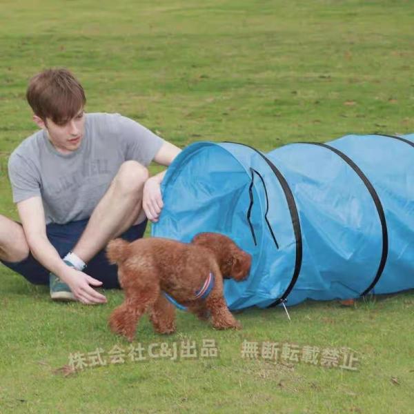 プレイトンネル ペットトンネル 子供用 大中小型犬 猫 小動物 室内 室外！折りたたみ式 ペットトンネル！                                    トンネルの置き方や向き方を自由に変えることができ、自分の好きな...