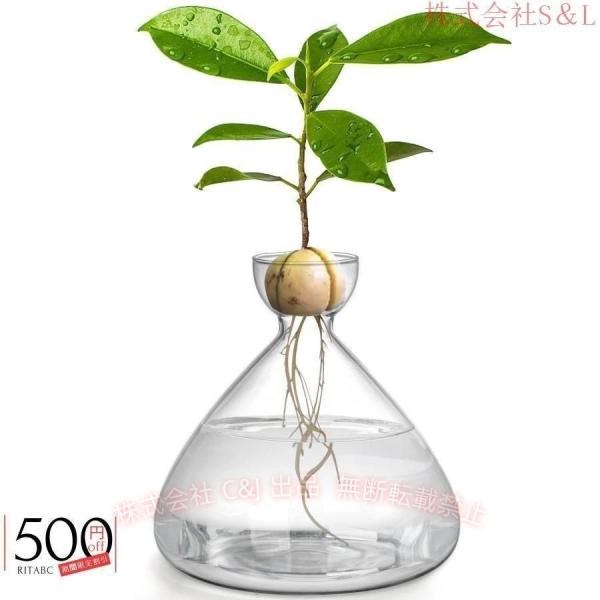 商品によっては発送までに2?3週間かかかることもございます。発送予定日をご了承の上、ご注文いただきますようお願いいたします。【商品概要】【プレミアム素材】: 当社のアボカドスターター花瓶は、厚みのある高ホウケイ酸ガラスでできており、透明で滑...