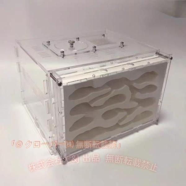 ■商品詳細タイプ：石膏巣サイズ：Sサイズ：8.5 * 9 * 7.5※Lサイズ、Mサイズも販売しております！素材：石膏+アクリル通知：アリなしのアリ農場のみ。特徴1.湿潤材料として石膏を使用することは、生きているアリに最適です。2.湿気が巣...