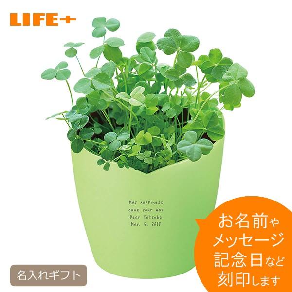 お名前やメッセージ、日付などご自由に、お好きな「ことば」をお入れすることができます。家族や友達への誕生日プレゼント(還暦祝い)、結婚記念日に…♪世界に１つだけのプレゼントは、いかがですか？種から育てるクローバーの栽培キットです。セットされて...