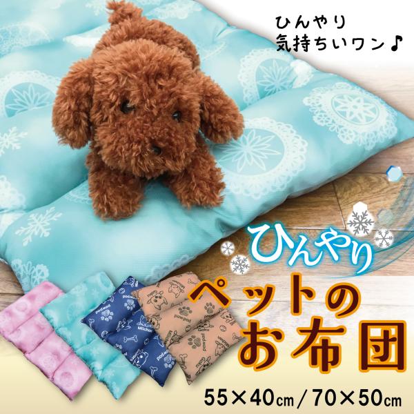 通常販売価格￥2590のところ卸業者だからできる値下げ価格￥1400にて販売。※以下の地域は別途送料がかかります。北海道500円　沖縄、離島2000円【企画→輸入→販売】と全て当店が行っているので、良い物を低価格でご提供致します。大量のご注...