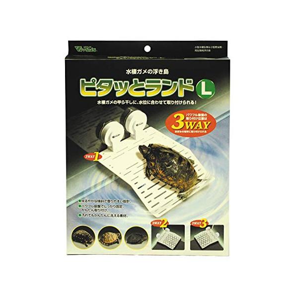 緑/L/-・パッケージ個数:1・本体サイズ (幅X奥行X高さ) :24×20×11.5cm・本体重量:0.244kg