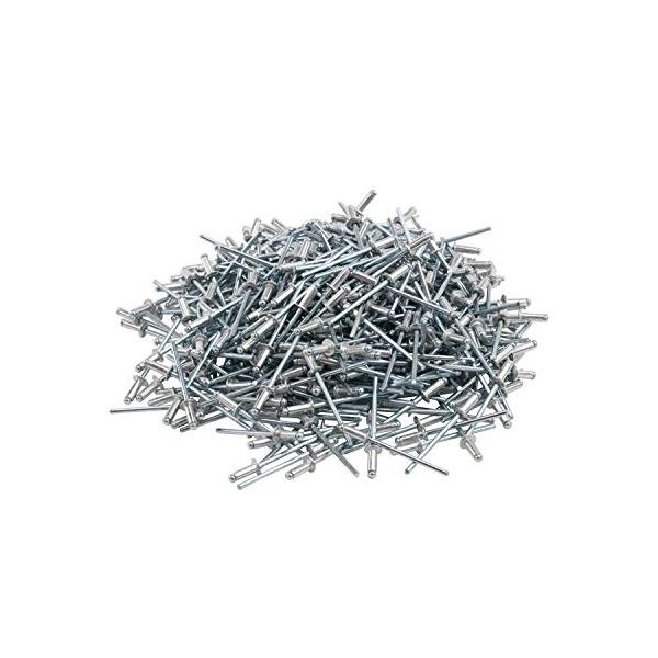 400本径3.2mm/締付可能板厚3.2~4.8mm/SA4-3LB・Size:締付可能板厚3.2~4.8mmStyle:400本Color:径3.2mm・パッケージ個数:1・リベット径:3.2mm・下穴寸法:3.3~3.4mm・締付可能板...