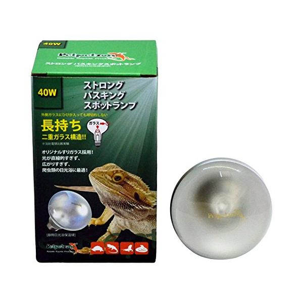 ホワイト/40W/6100・Size:40W・パッケージ個数:1・・自然光に近いUVA照射で生体の行動・摂食・脱皮をサポート ・スポットタイプでケージ内にホットスポットを形成 ・高温環境下でも安定した発光を維持 ・二重ガラス構造により割れや...