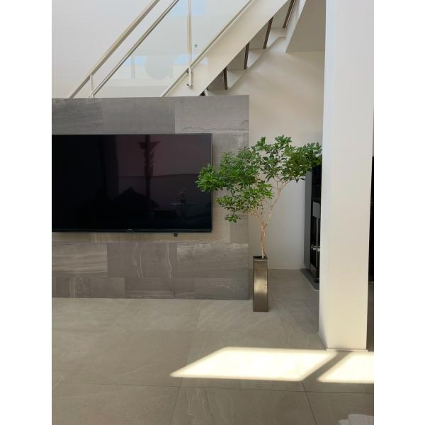 枝物専門の花屋が贈る季節の枝物120センチその時、1番旬な季節の枝物をお客様の元へお届け致しますギフト配送もOK!【枝物専門の花屋が贈る　枝物の特徴】・枝物専門店ならではの視点で、品質、樹形、管理のしやすさを重視してセレクト・置き場所や花瓶...