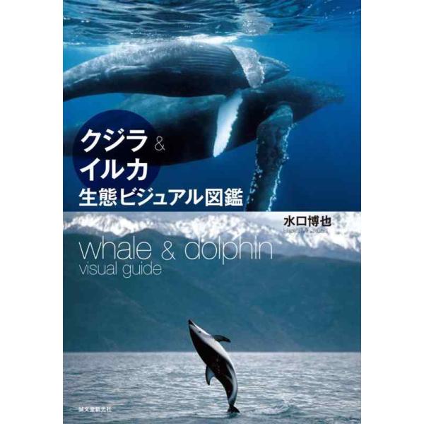 クジラ&amp;イルカ生態ビジュアル図鑑availability