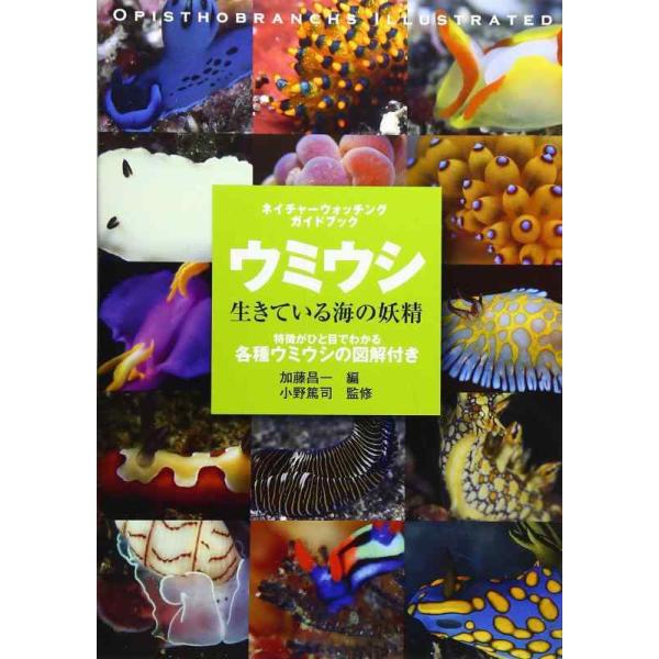 ウミウシ: 生きている海の妖精 (ネイチャーウォッチングガイドブック)availability