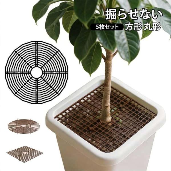 商品名:土壌保護 観葉植物 盆栽 ペットいたずら防止 5枚セット 植木鉢グリッド 犬 掘り防止 猫 屋内屋外 通気性 丸形 植木鉢カバー フラワープロテクター 屋内植物用 正方形 自由に裁断可能 園芸用品 鉢用 植木鉢グリッド 家庭菜園  ...