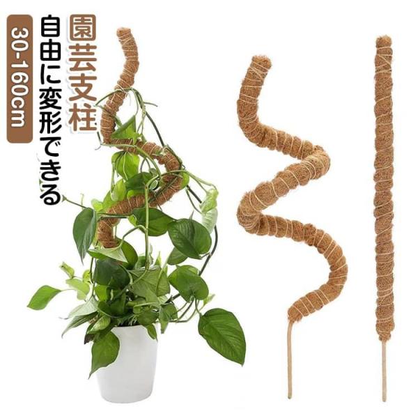 商品名:モンステラ 支柱 DIY ココスティック 2本入り 曲げられる 園芸支柱 観葉植物 ココナッツ支柱 モンステラ支柱 植物 フラワー支柱 園芸用 つる性植物 植物サポート ヘゴ支柱 ココナッツ 園芸支柱パーツ             ...