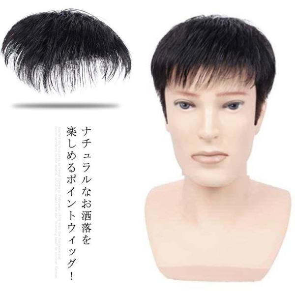 フリーサイズ