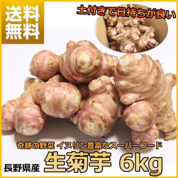 注目成分イヌリンを豊富に含む、今注目の「菊芋」を土付きのまま生でお届けします。奇跡の野菜「菊芋」とは？お芋に似た菊科の植物で、デンプン質をほとんど含んでおらず食物繊維が豊富に含まれた植物です。また血糖値抑制やダイエットに効果を発揮すると言わ...