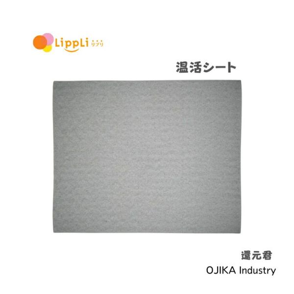 シート還元くんに使われている鉱物、グラファイトシリカ（黒鉛珪石）、メビウスウォーターを特殊加工で含侵させた素材。裏と表の質感は異なりますが、どちらに向けてもその波動は伝わります。商品名：温熱シート商品使用：1枚色：グレー商品サイズ：48cm...