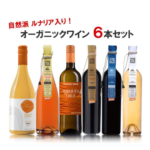 【商品紹介】イタリア・アブルッツォ州の自然派ワイナリー「カンティーナ・オルソーニャ」が手がける、人気のルナリアシリーズを中心に厳選した6本セット。すべてオーガニック認証付き＆SO2無添加で、安心・安全・高品質。ペコリーノやプリミティーヴォ、...