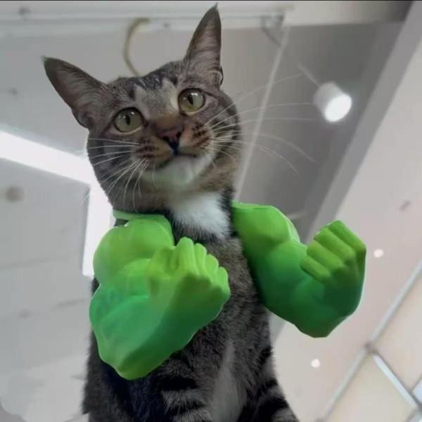 猫ちゃんが一瞬で“マッチョ”に変身！？ユニークで可愛い筋肉アーム型コスプレアイテムです。柔らかいPVC素材で軽く、猫ちゃんにも優しい設計。首にかけるだけで簡単装着、写真や動画映えも抜群◎SNS投稿・おもしろ動画・イベントにもおすすめ！思わず...