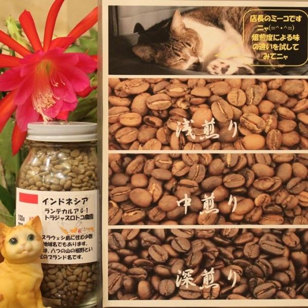 焙煎度による味の違いをお試しいただけるセットです。【インドネシア　ランテカルアG-1　トラジャスロトコ農園】の、浅煎り、中煎り、深煎りをセットに致しました。それぞれ生豆100g使用いたしますが、仕上がりは浅煎り約87g、中煎り約84g、深煎...