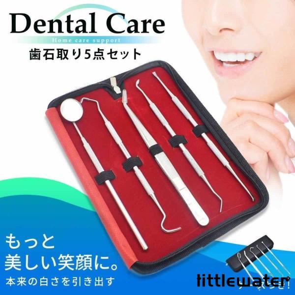 お口の中の健康状態が全身に及ぼすというのは良く言われますよね？ご自宅で簡単に歯の汚れを除去できるオーラルケア充実の5点セットです。歯医者さんに行って「見たことある！」の道具5点セット★おうちで本格的な口内ケアが可能です。★360度、全角度の...