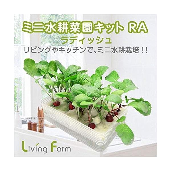 お部屋で気軽に野菜づくりが楽しめる、水耕栽培初心者向けのミニ菜園キット!!土を使わず、水と液体肥料だけで育てるので清潔で扱いやすく、リビングやキッチンなど室内で一年中栽培できます。発芽から成長までを観察しながら育てられ、約25〜30日後には...