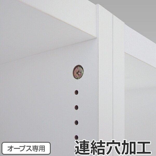 サイズ/内容量/4ヶ所付属品：連結用金具、ビスシール●側板左右に2ヶ所ずつ（1台につき4ヶ所）連結用の穴加工を施します。●連結するデスクやラックすべてに穴加工が必要となります。●連結しない方の穴にはビスシールを貼り付けてご使用ください。●本...