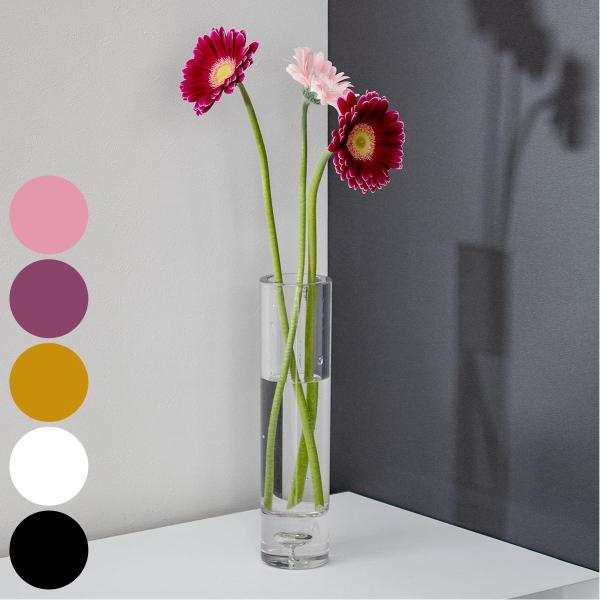 サイズ/約高さ25cm直径：約6cm口径：約4.5cm重量/約410g内容量/1個材質/ポリカーボネート種類/パープル、クリア、ブラウン、ブラック、レッド生産国/中国製耐熱温度/120度耐冷温度/-20度●「割れないガラス」とも謳われるポリ...