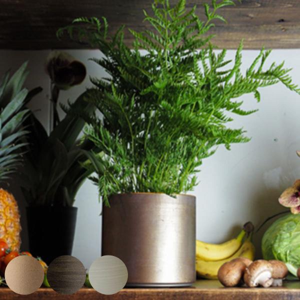 サイズ/約高さ14cm直径：約15cm口径：約14.5cm重量/約320g内容量/1個材質/アイアン種類/アンティークゴールド、ダークブラック、ナチュラルアイアンマット生産国/中国製●アイアン素材の円柱型フラワーベースです。●一枚の板金で作...