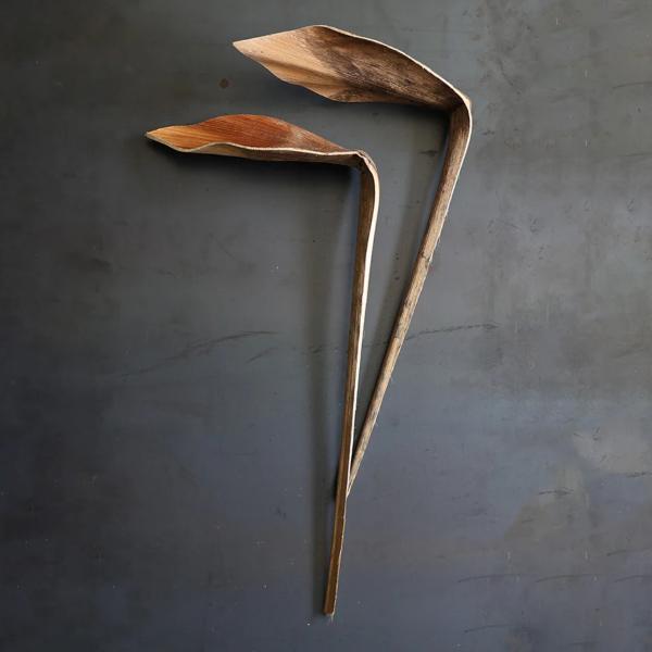 サイズ/約高さ40cm内容量/1束材質/ドライフラワー生産国/中国製●繊細なディテールと、自然と調和する色合いが美しいドライフラワーです。●奇妙で不可思議な姿は異質でありながらも魅力的に映ります。●その個性的な出立ちで空間に他とは違う「特別...