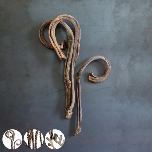 サイズ/約高さ40cm内容量/1束材質/ドライフラワー種類/BananaStick、BananaStem、Natraj生産国/中国製●繊細なディテールと、自然と調和する色合いが美しいドライフラワーです。●奇妙で不可思議な姿は異質でありながら...