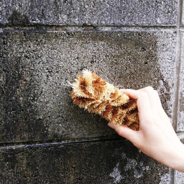 サイズ/約幅5×奥行5×高さ16cm重量/約60g内容量/1個材質/パーム生産国/スリランカ製●コケなどの汚れを強力に落とすたわしです。●たわしの角は四角くカットされているので、落としにくい角の汚れも綺麗に掃除できます。●女性の方でも握りや...