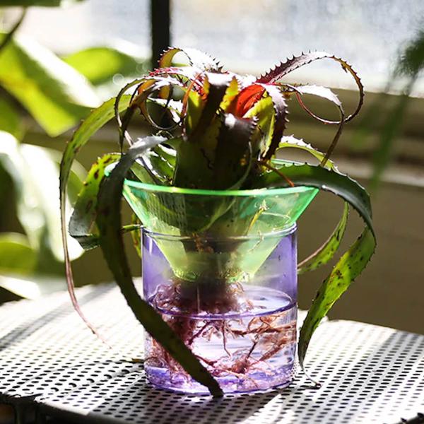 サイズ/約直径10×高さ9.5cm植え込み口：約3cm重量/約120g内容量/1個材質/ガラス生産国/中国製●紫と黄緑のネオンガラスが神秘的な、水耕栽培用フラワーベースです。●上下セパレート構造で水替えが簡単に行えます。●オブジェとしても愉...
