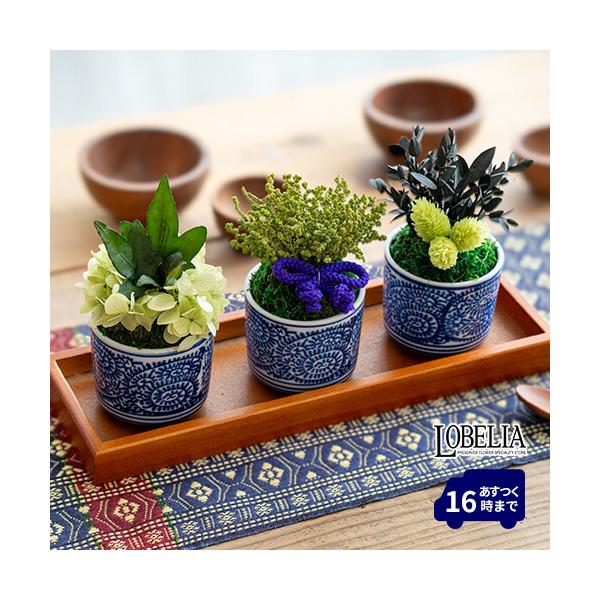 【発売日：2009年03月11日】＜16時までのご注文で対象地域は最短翌日お届け＆日時指定も対応＞ちょっとした場所で何気なく和の雰囲気を楽しんでいただける枯れない盆栽風アレンジです。お盆の上に、コロンとしたアレンジが3つ並んだ「bon・bo...