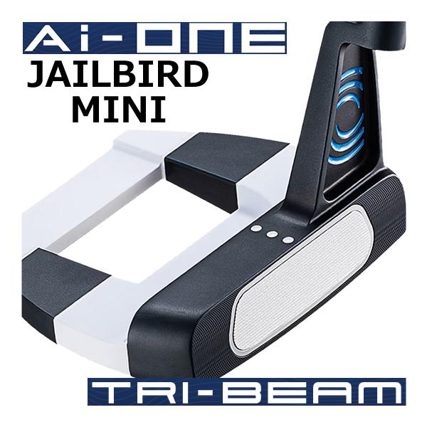 【発売日：2025年03月14日】●2ボールセンターシャフトモデル●オフセンターヒットしてもボールスピードの低下が最小限に抑えられるAI設計のインサートとスイートスポットを外したときのフェース面のねじれが少なく、ボールをコントロールしやすい...