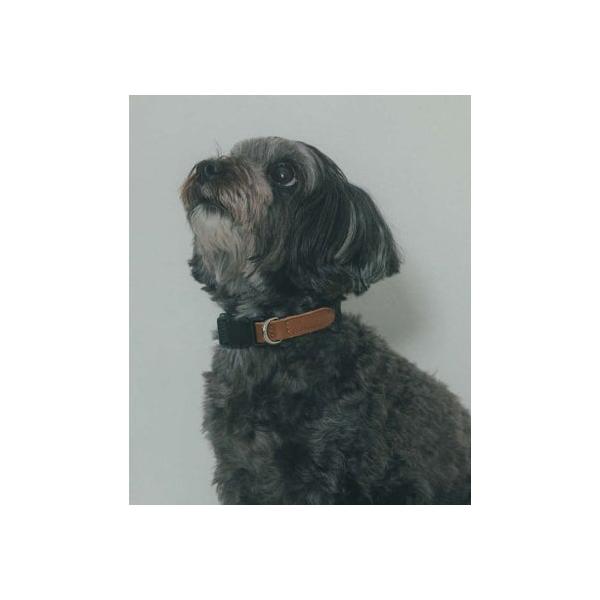 【発売日：2025年03月01日】【ブランド商品番号】51496075305 99110 / 【ブランド名】LOWELL Things（ロウェル シングス） / 【色】ブラック / 【原産国】中国