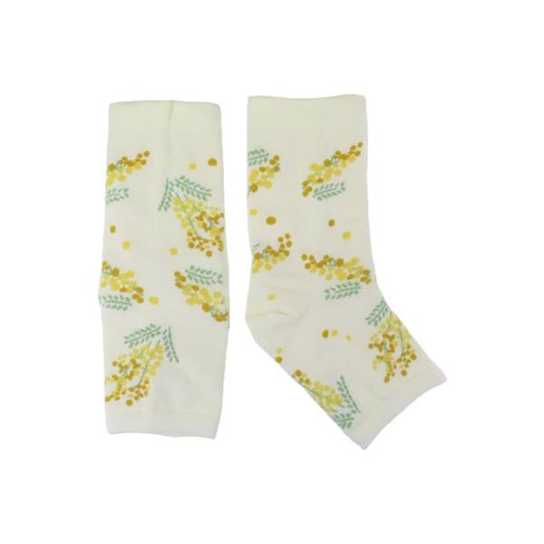 【発売日：2025年04月11日】【ブランド商品番号】frh-891135 MMM / 【ブランド名】cinemacollection（シネマコレクション）