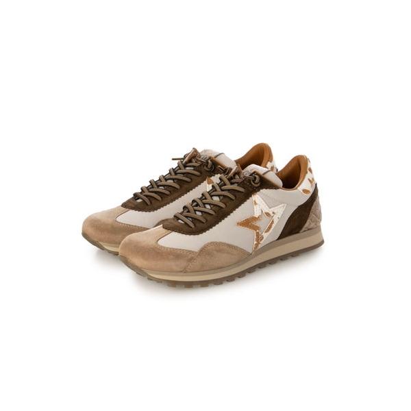 【発売日：2025年10月27日】【ブランド商品番号】CTEX51259 BRC / 【ブランド名】cetti（セッティ） / 【色】ブラウンコンビ / 【表素材】ナイロン / 【原産国】スペイン