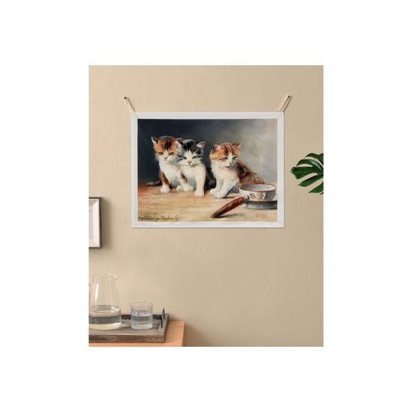 【発売日：2025年04月17日】【ブランド商品番号】jubileepos6045AC80669821 jubileepos6045AC-TAM943 / 【ブランド名】Jubilee（ジュビリー） / 【色】その他19 / 【素材】ポリエ...