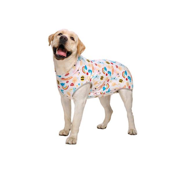 【発売日：2025年03月07日】【ブランド商品番号】g6153 -rainbow / 【ブランド名】BACKYARD FAMILY（バックヤードファミリー） / 【色】レインボー / 【原産国】中国