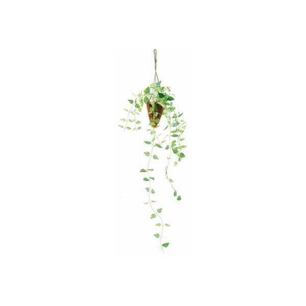 【発売日：2025年03月01日】【ブランド商品番号】greenhanging447 -pothos / 【ブランド名】BACKYARD FAMILY（バックヤードファミリー） / 【色】163725.ポトス