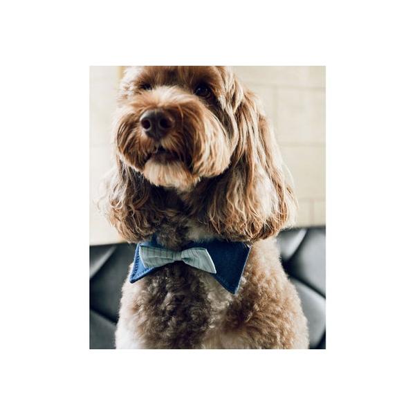 【発売日：2025年03月14日】【ブランド商品番号】GII74180 48 / 【ブランド名】ROPE' PICNIC PASSAGE（ロペピクニック パサージュ） / 【色】サックス（48） / 【素材】（本体） ポリエステル レーヨン...