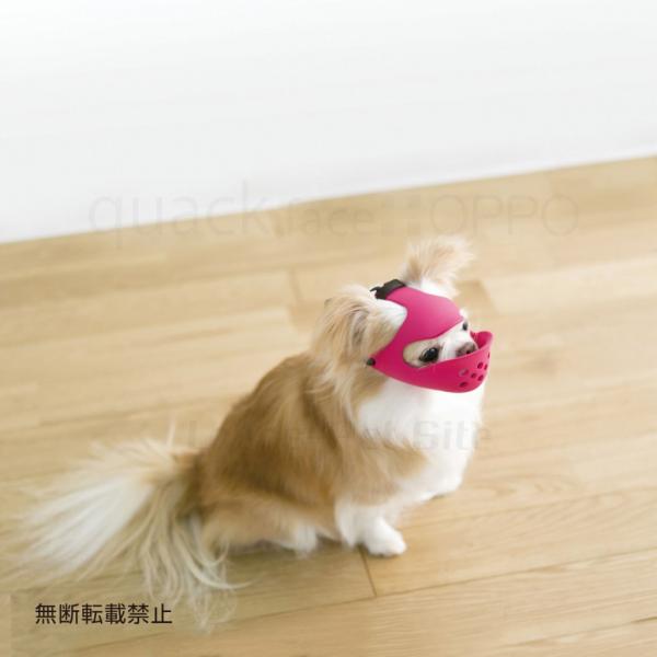 ■商品説明quackface　-クァックフェイス-お鼻の短いワンちゃん、猫ちゃん用口輪噛みつきや拾い食いを抑制することで愛犬を守ることができます。ソフトな付け心地で、頭周りをぴったり包み込みます。■適合犬種猫の通院のサポートに※適合犬種はあ...