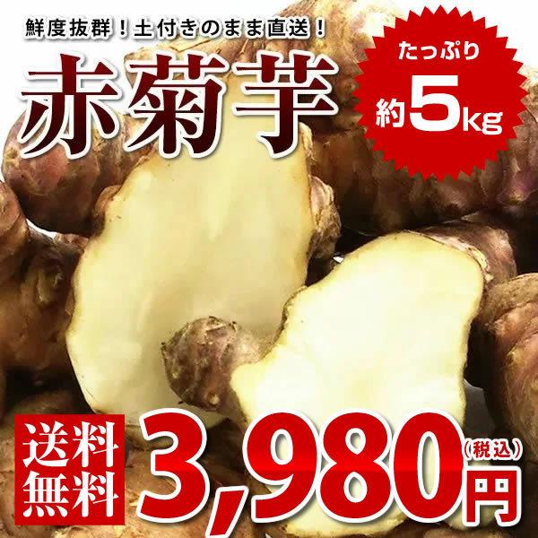 名称：赤菊芋原材料：赤きくいも（群馬県産）内容量：約5kg保存方法：冷蔵庫または冷暗所にて保存してください。賞味期限：生ものとなりますのでお早めにお召上がりください。配送：宅配便でのお届けとなります。※新鮮なものをお届けさせていただくために...