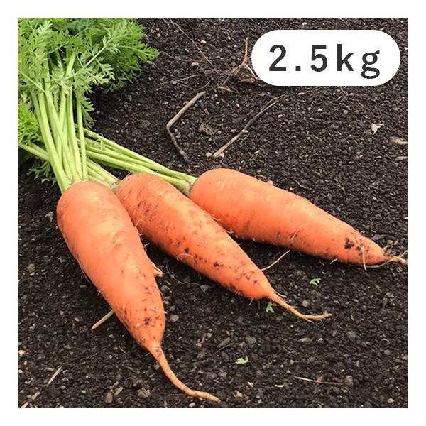 農薬や化学肥料を使わずに育てた人参です。自然の力で育てた人参は味も栄養も濃いのが特長です。ゲルソン療法を始めたとした人参ジュース、人参断食にもご利用ください。安心安全にこだわり、人にも地球にも優しい農業に取り組んでいます・農薬、化学肥料は一...