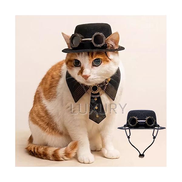 お届けについて  こちらの商品はご注文・ご入金確認後のお取り寄せとなります。  ご入金確認後、発送まで約17日から22日ほどお時間をいただきます。こちらは【ゴーグル付シルクハット のみ】の販売となりますので、ご注意ください。  天候や配送状...