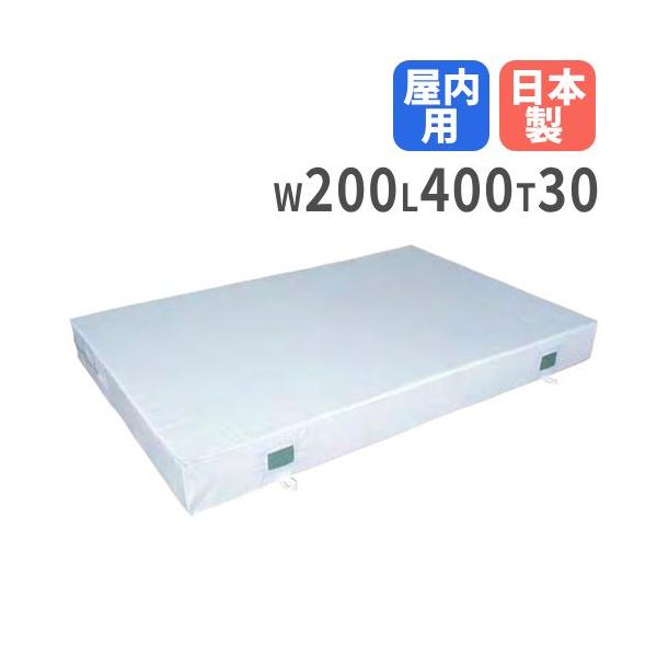 室内用のソフトマット！体育館など室内での使用に適した体操・走り高跳び兼用ソフトマットです。取手付きなのでマットの移動に便利です。強力ナイロンファスナーや空気窓付きです。面倒な組み立て不要の完成品です。商品番号LS-S-9776完成品（新品）...