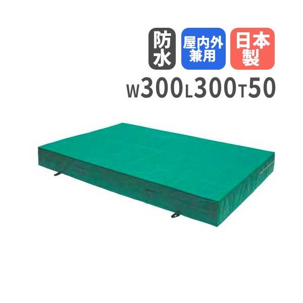 室内外どちらでも使用可能なソフトマット！体操・走高跳兼用のソフトマットです。取手付きなのでマットの移動に便利です。強力ナイロンファスナーや空気窓付きです。面倒な組み立て不要の完成品です。商品番号LS-S-9789完成品（新品）※配送の注意事...