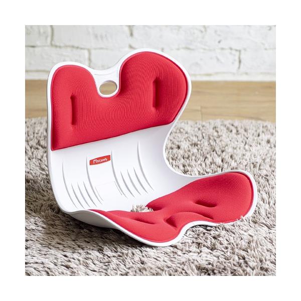 正しい姿勢に導いてくれるお子様用の骨盤サポートチェア。骨盤をしっかりホールドしてくれます。骨盤や背骨を正しい状態に保つことで身体にかかる負担を軽減してくれるので、日々の学習を快適にしてくれます。商品番号53-RC-1230組立状態完成品（新...