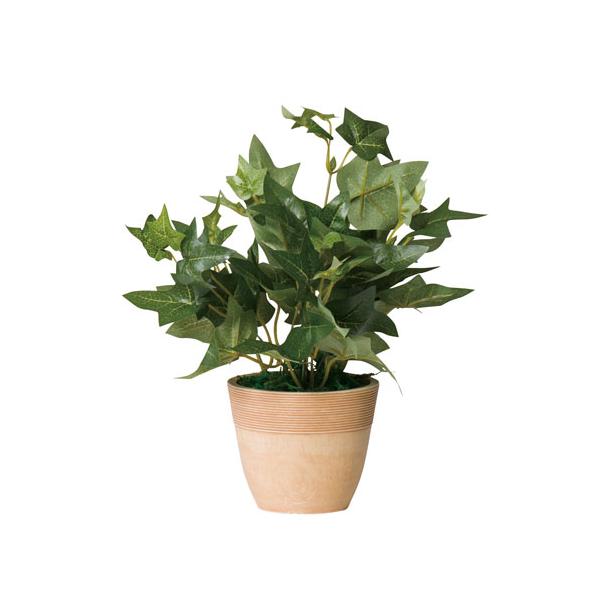 心もからだも優しく癒すフェイクグリーンです。光触媒加工タイプです。おしゃれで快適な環境作りに役立ちます。商品番号KG-IB組立状態完成品（新品）サイズ外寸：幅220×奥行220×高さ230mm仕様葉：ポリエステル+ポリエチレン花器：ポリプロ...