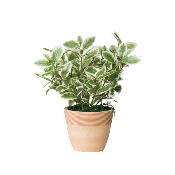 心もからだも優しく癒すフェイクグリーンです。光触媒加工タイプです。おしゃれで快適な環境作りに役立ちます。商品番号KG-MLGW組立状態完成品（新品）サイズ外寸：幅200×奥行200×高さ210mm仕様葉：ポリエステル+ポリエチレン花器：ポリ...