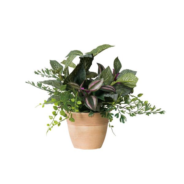 心もからだも優しく癒すフェイクグリーンです。光触媒加工タイプです。おしゃれで快適な環境作りに役立ちます。商品番号KG-SMG組立状態完成品（新品）サイズ外寸：幅310×奥行250×高さ280mm仕様葉：ポリエステル+ポリエチレン花器：ポリプ...