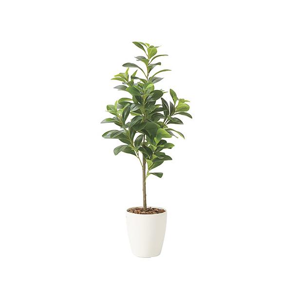 インテリアも空気もきれいにする光触媒人工植物。商品番号W2224A150-52組立状態完成品（新品）特記事項※本商品は生花ではありません。※手作り商品のため、サイズの多少の誤差はご了承ください。※記載サイズは、花または葉の先端までの大きさで...