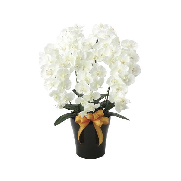 心もカラダも優しく癒すアートフラワー！胡蝶蘭の花言葉は「幸福が飛んでくる」とされ、各種お祝い事に人気があります。面倒な水やりや鉢の植え替え等が不要な光触媒人工植物です。本物のような美しさでお部屋を飾りながら空気までクリーンにしてくれます。 ...